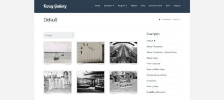 Best WordPress Image Gallery Plugins for 2017 | Code Geekz