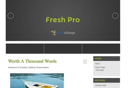30 Free and Fresh WordPress Themes | Code Geekz