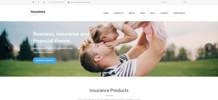 Best WordPress Insurance Themes for 2016 | Code Geekz