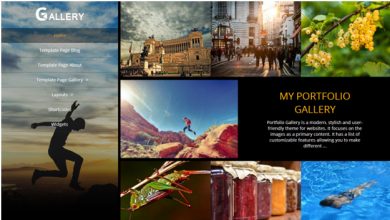 Best WordPress Portfolio Themes for 2016 | Code Geekz