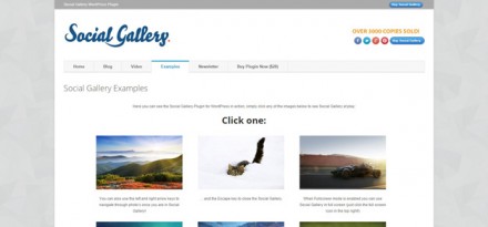 20 Best WordPress Image Gallery Plugins | Code Geekz