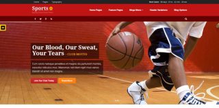 Top WordPress Sports Themes | Code Geekz